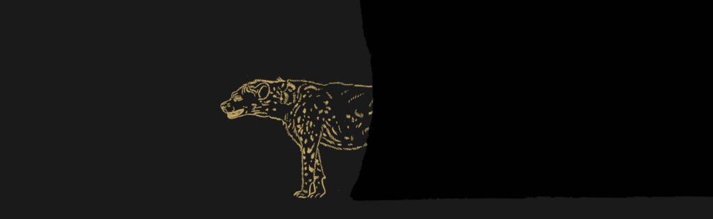 Books - Justin Torres